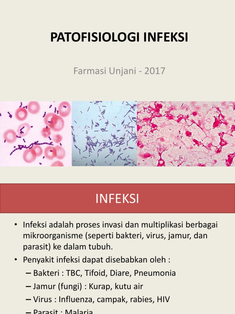 Patofisiologi Infeksi | PDF