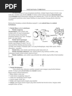 Pengamatan Sel Gabus Singkong | PDF | Griya & Taman