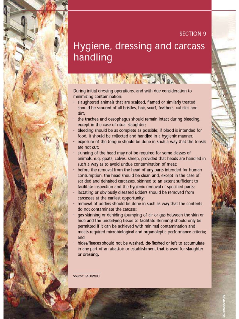 Hygiene, Dressing and Carcass Handling | PDF