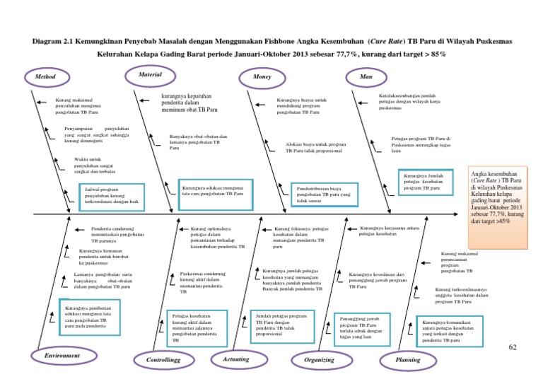 Fish-Bone Kesembuhan TB | PDF