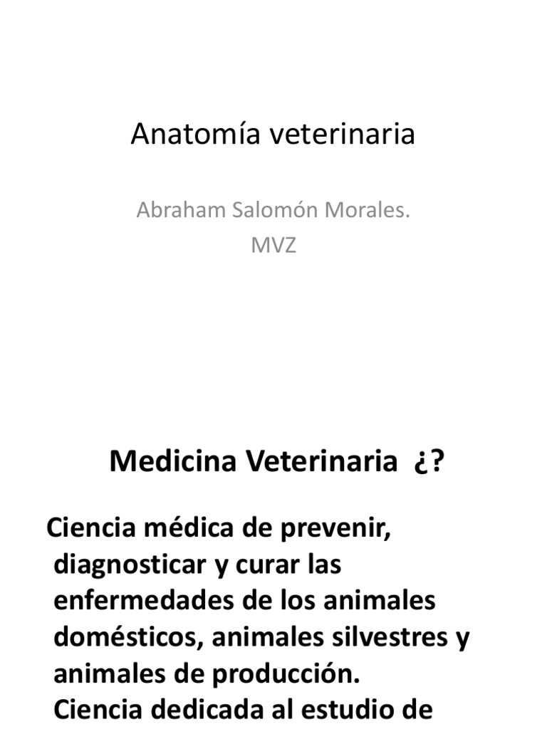 Repaso Anatomia Pdf Articulación Abdomen