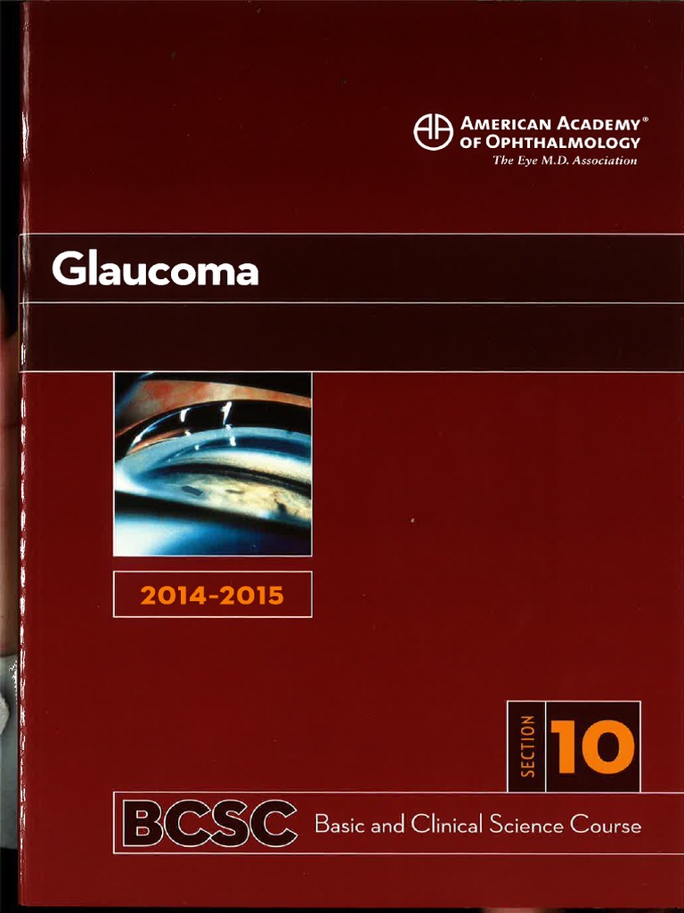 Understanding Glaucoma: A Guide from the American Academy of ...