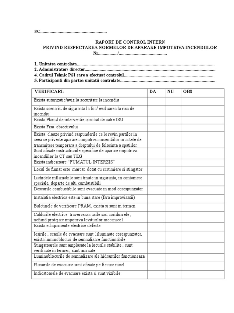 Raport Control Intern Psi Model | PDF