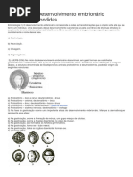 Tabela de Bacterioses e Causadores | PDF | Salmonella | Bactérias