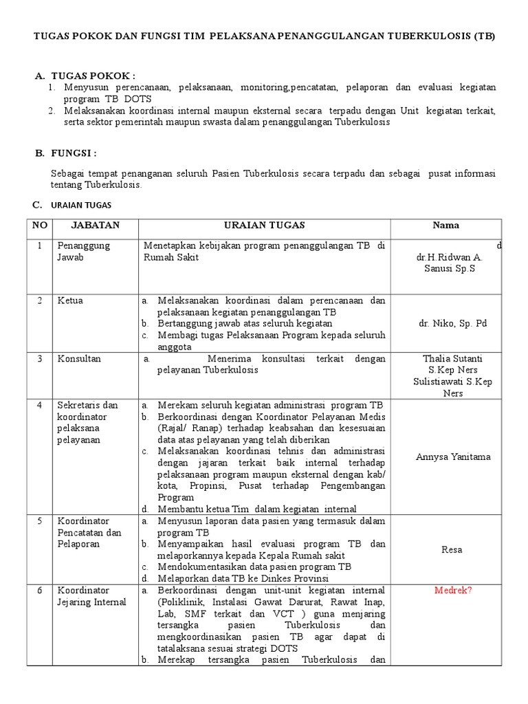 Struktur Tim Penanggulangan TB DOTS | PDF