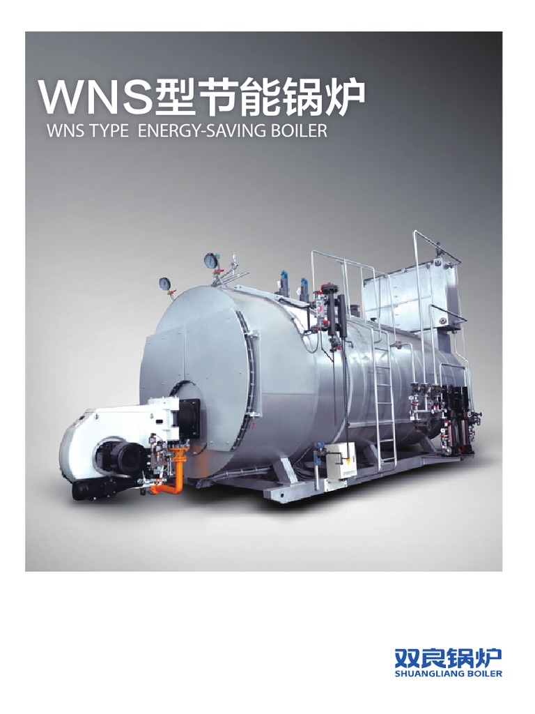 Wns Type Energy-Saving Boiler | PDF | Valve | Boiler