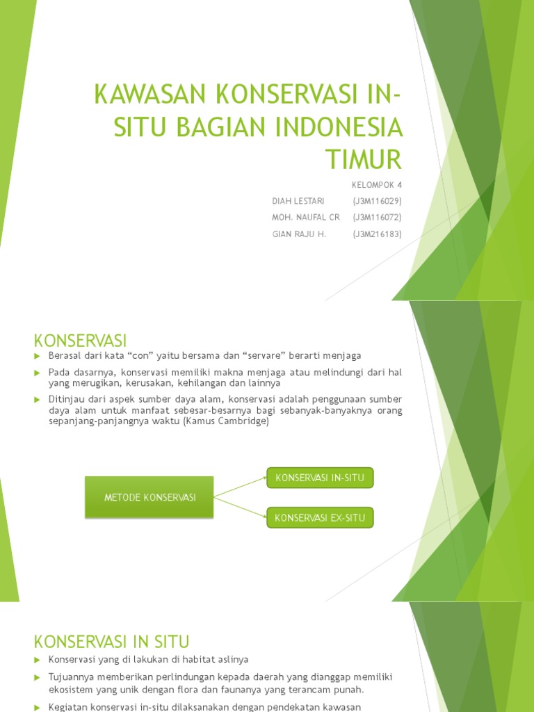 Kawasan Konservasi In-Situ Bagian Indonesia Timur | PDF | Griya & Taman