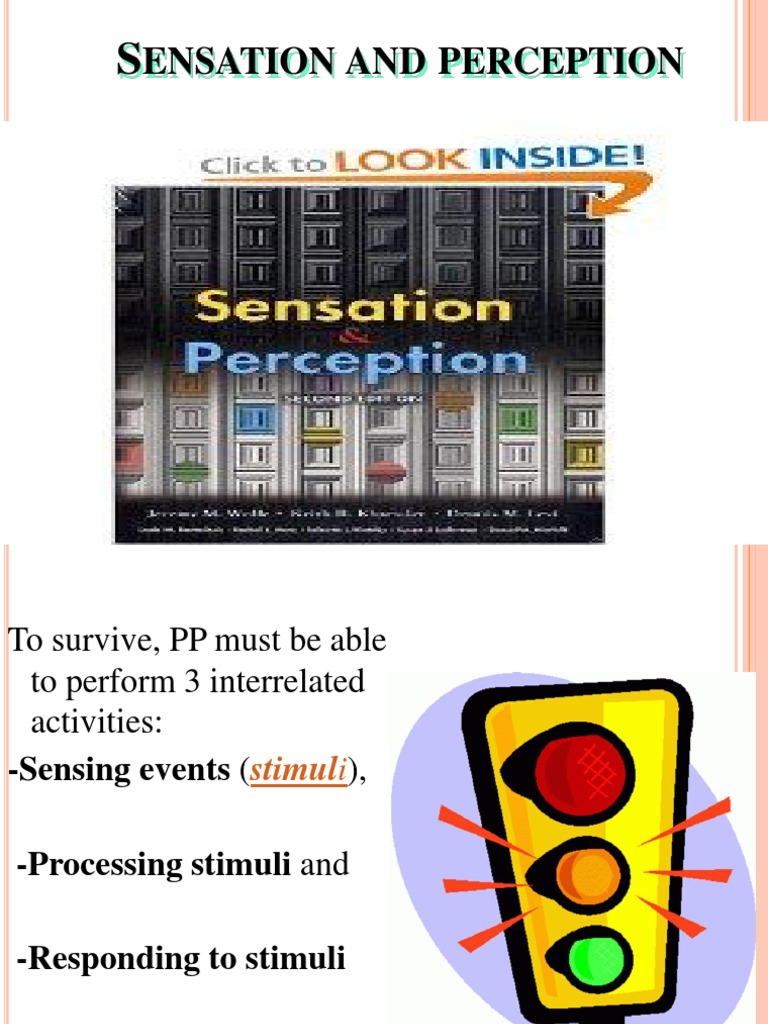 Sensation and Perception Revised - E PDF | PDF | Senses | Perception