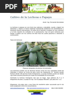 MSDS Zetanil | PDF | Agua | Ecología