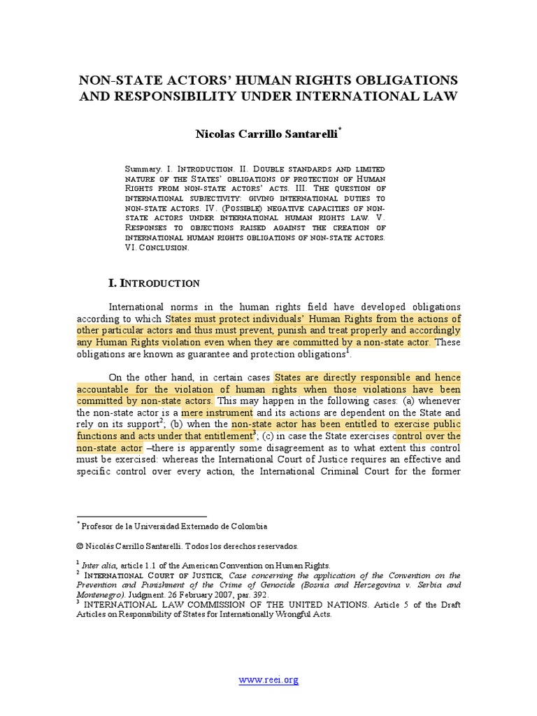 Non-State Actors and Human Rights Law | PDF | Human Rights ...