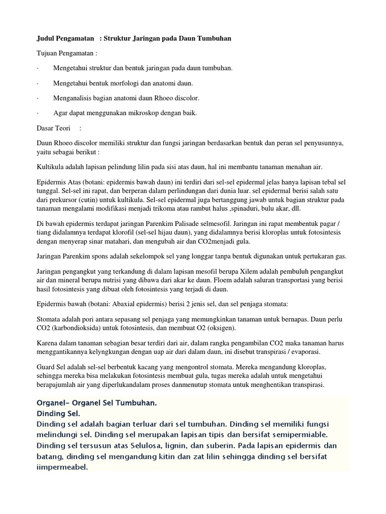 Struktur Sel Daun Rhoeo Discolor | PDF | Sains & Matematika