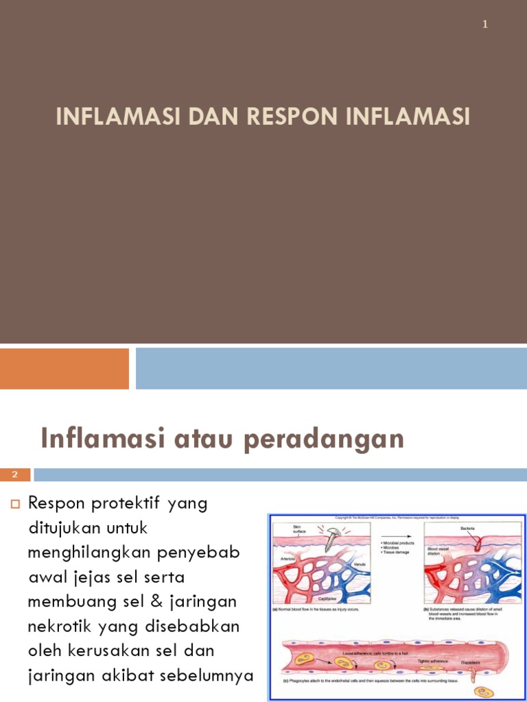 Respon Inflamasi | PDF