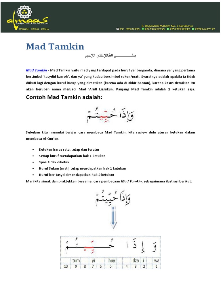Mad Tamkin | PDF