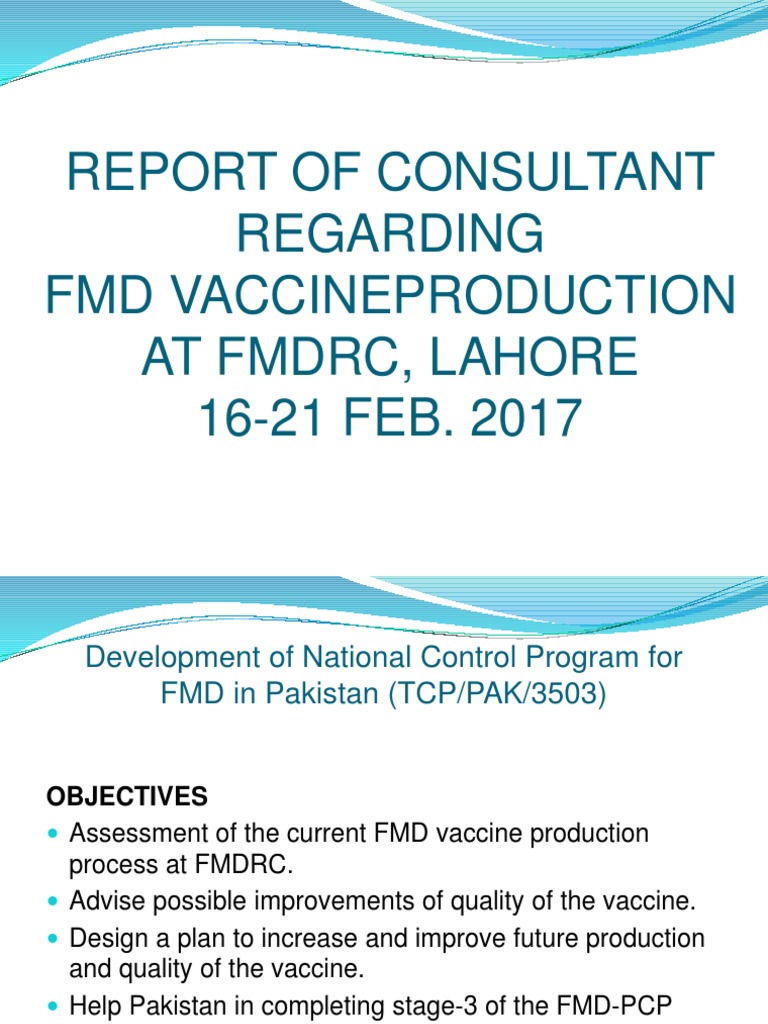 FMD Vaccine Production Report | PDF | Vaccines | Public Health