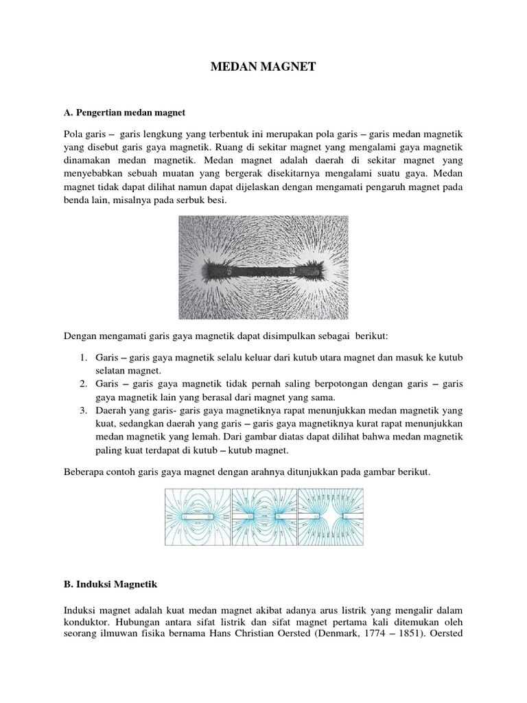 Medan Magnet | PDF