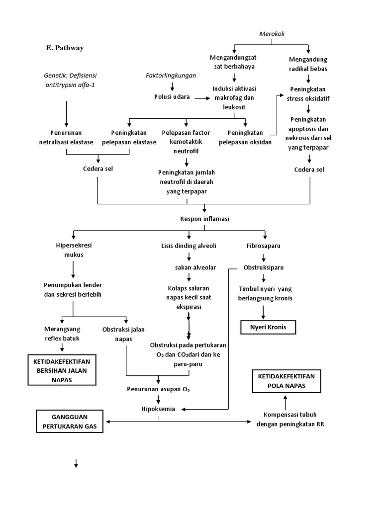 Pathway Oksigenasi | PDF