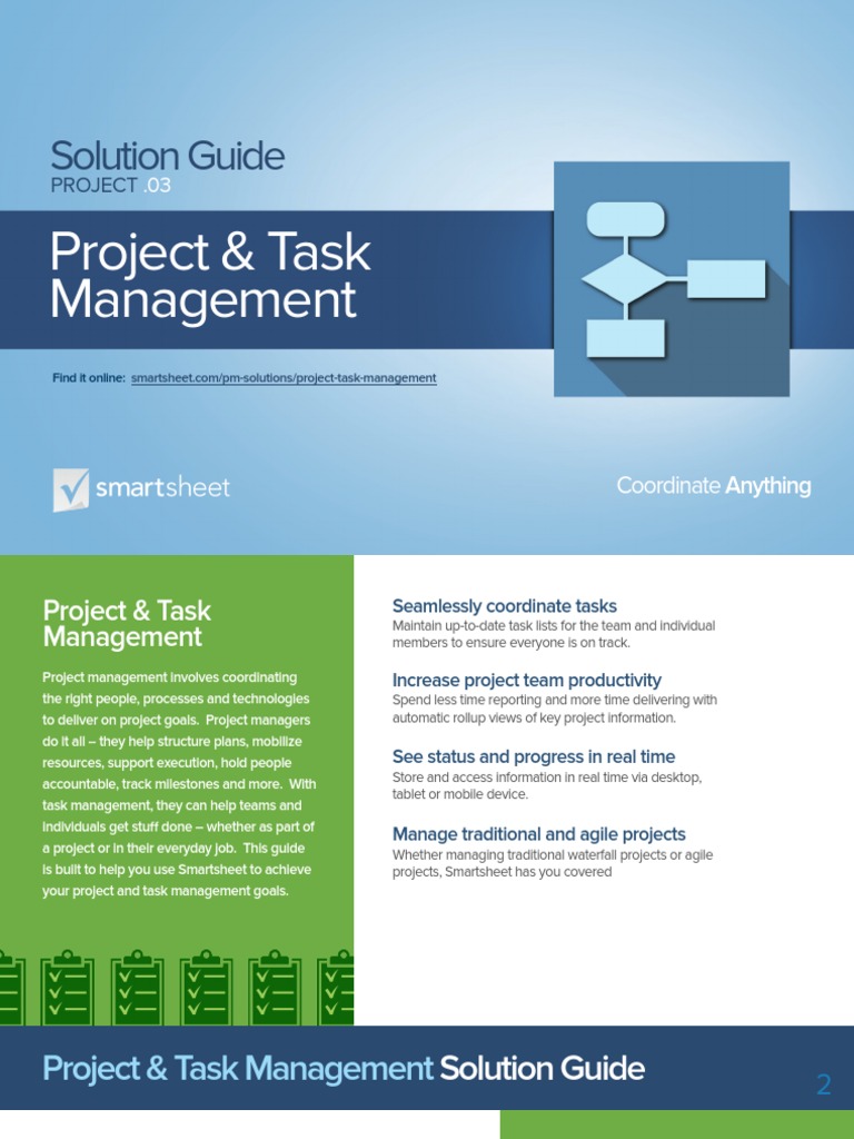 Project Task Management Solution Guide | PDF | Project Management | Computing