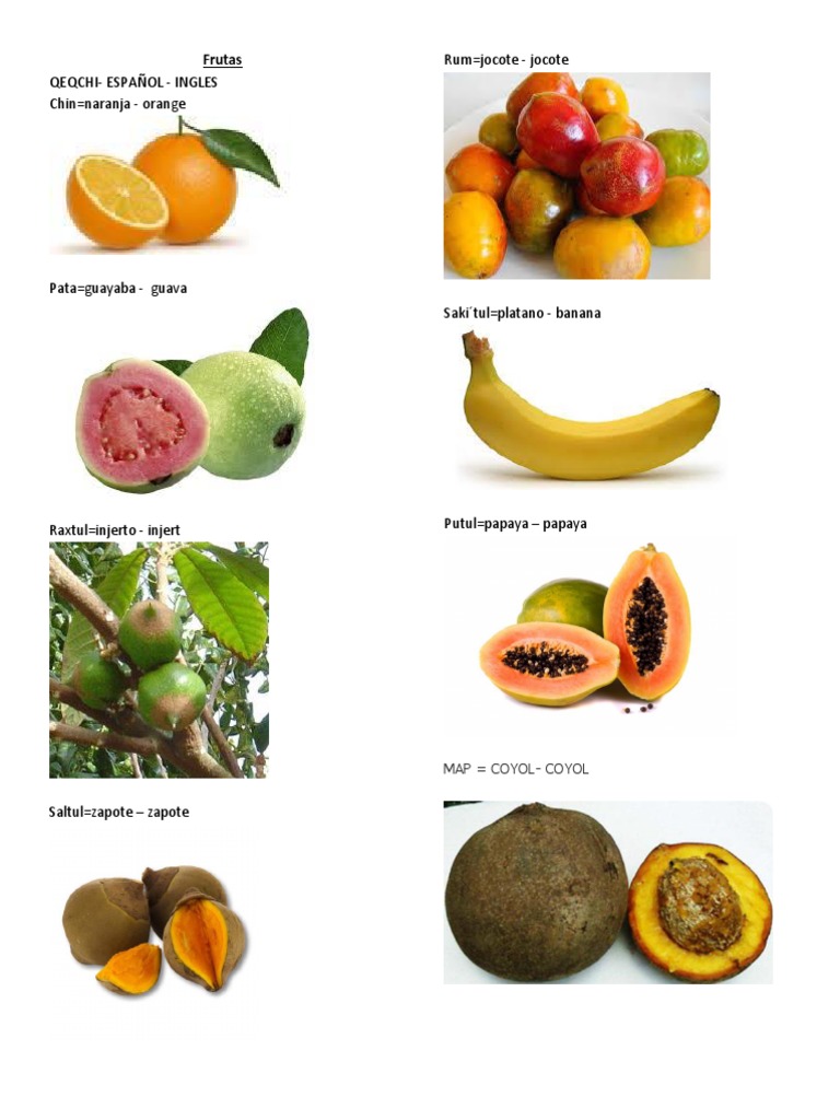 20 Frutas y Verduras en Qeqchi | PDF