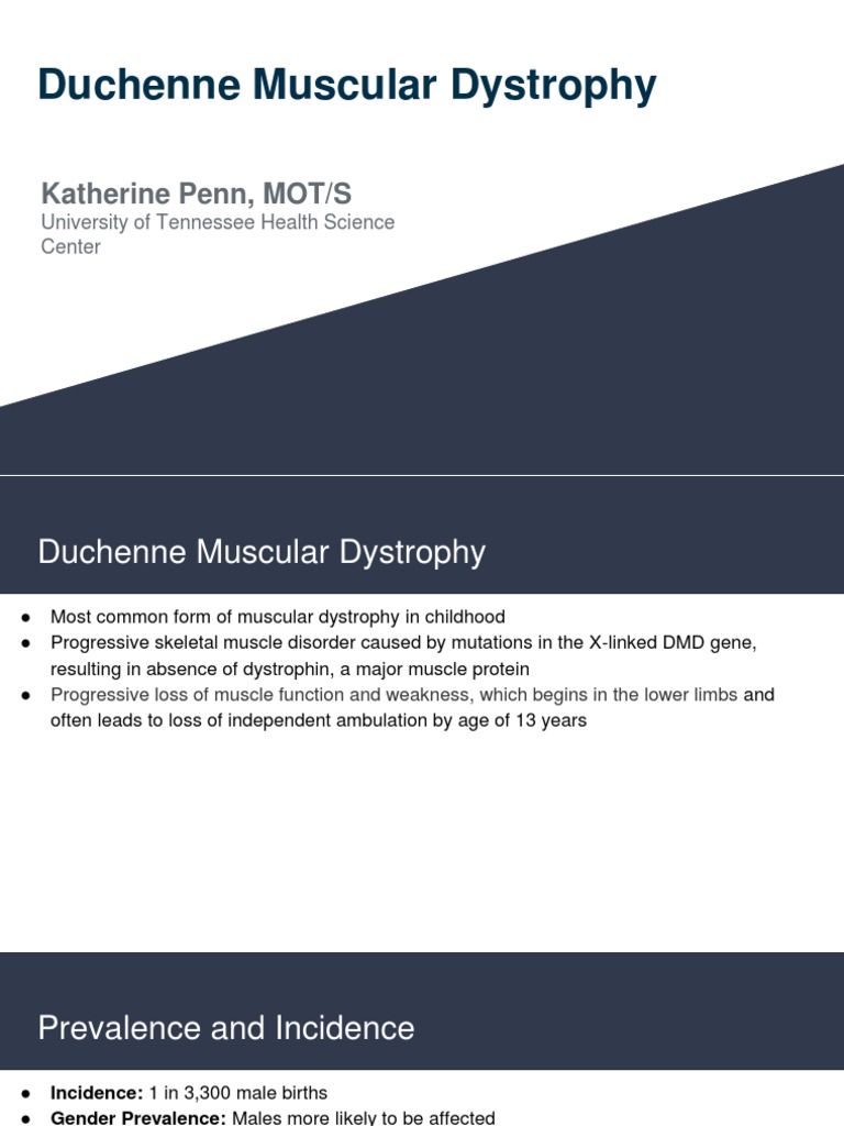 Duchenne Muscular Dystrophy | PDF | Muscular Dystrophy | Genetic Disorder
