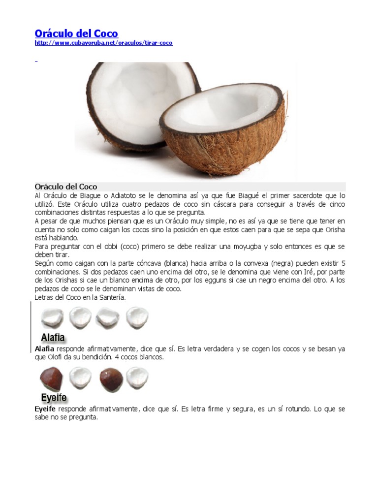 LEER Oráculo Del Coco | PDF | Santeria | Religión y creencia