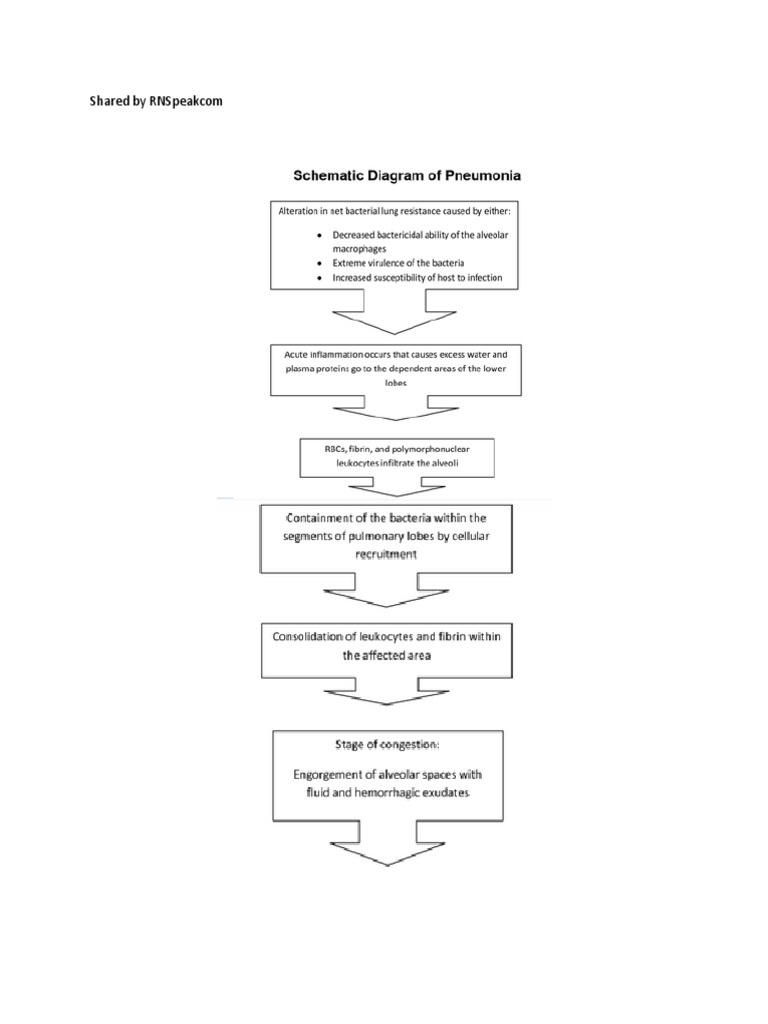 RNSpeakcom Document Overview | PDF