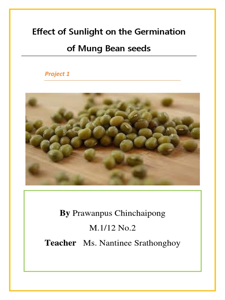 Science Project Beans 1 | PDF | Bean | Seed