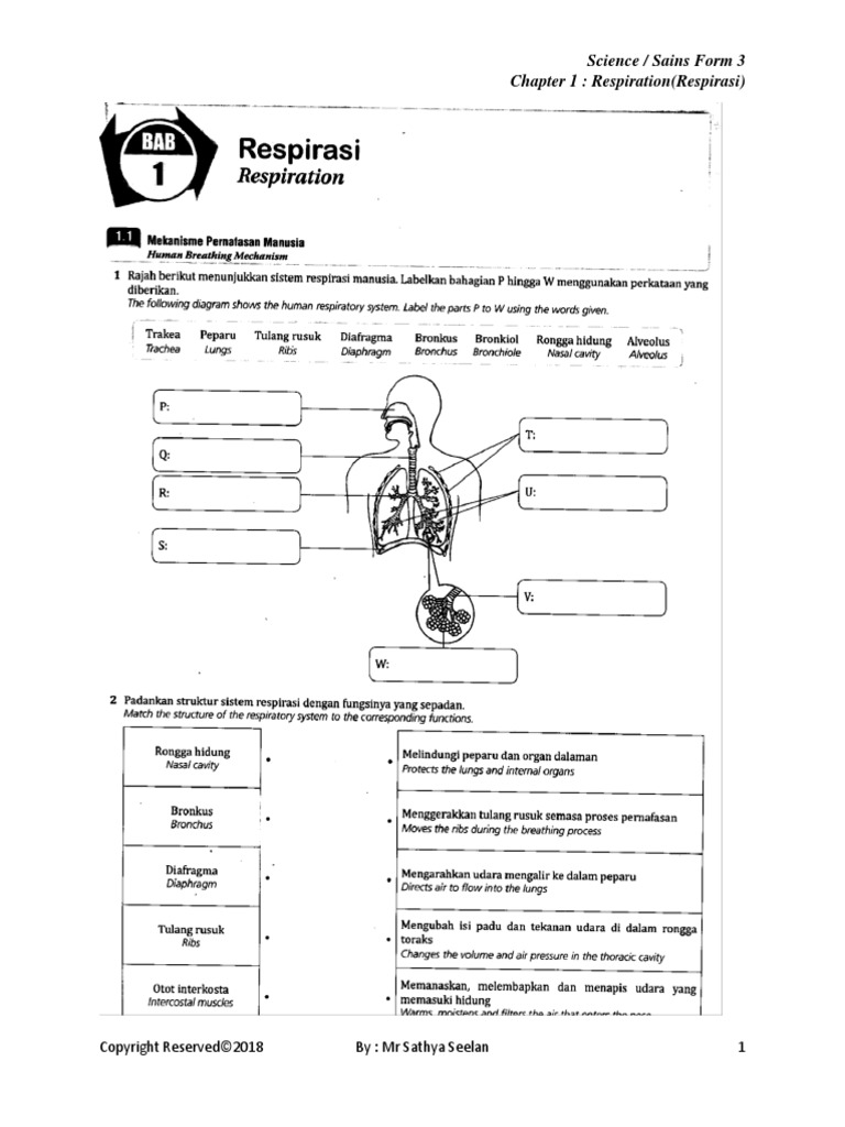 Science / Sains Form 3 Chapter 1: Respiration (Respirasi) : By: MR ...