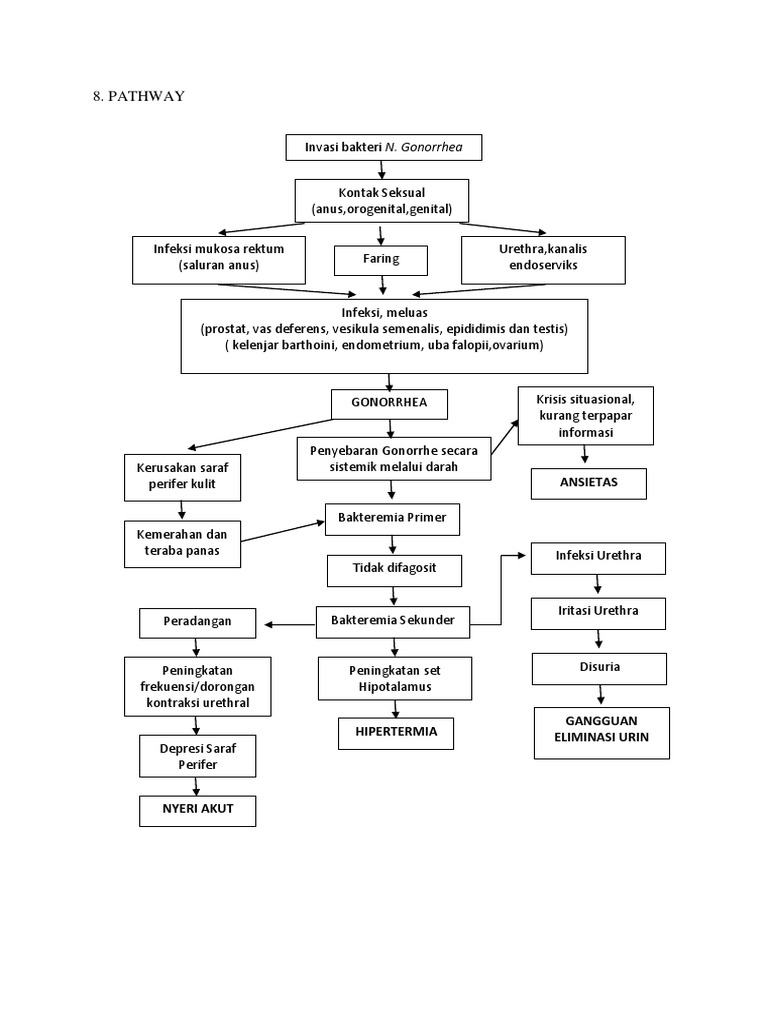 Pathway GO | PDF