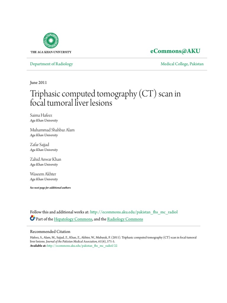 NO 2. Triphasic Computed Tomography (CT) Scan in Focal Tumoral Liver Le ...