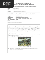 Foliasi and Non Foliasi | PDF