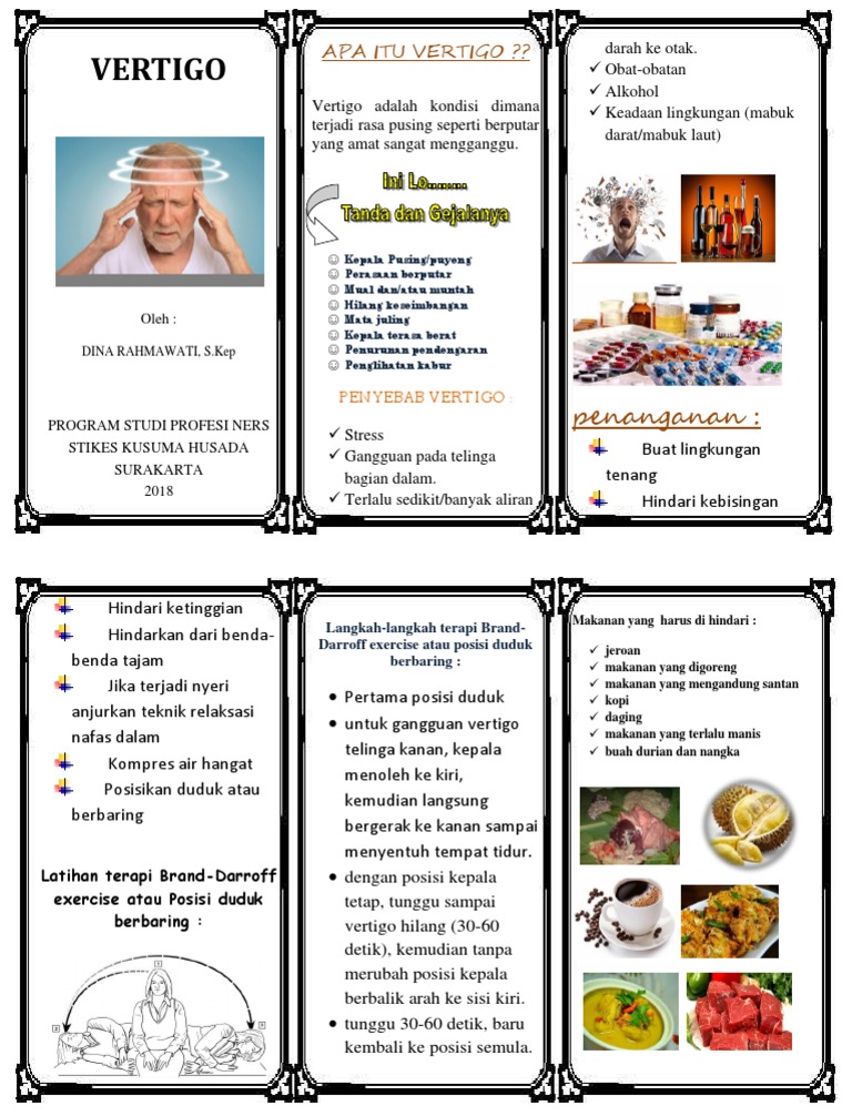 Understanding Vertigo | PDF