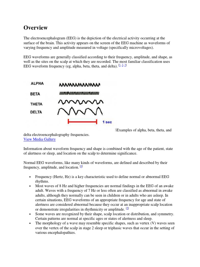 EEG Basics | PDF | Electroencephalography | Nervous System