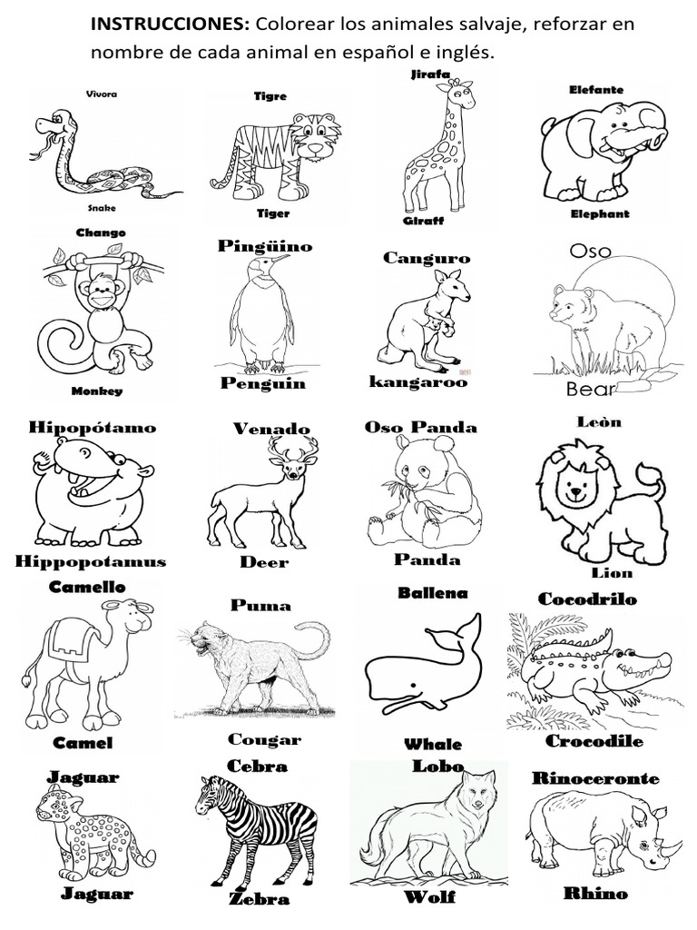 Colorea y Aprende Animales en Español e Inglés | PDF