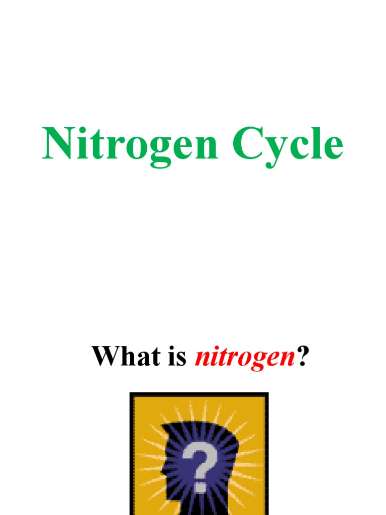 Nitrogen Cycle | PDF | Nitrite | Nitrogen