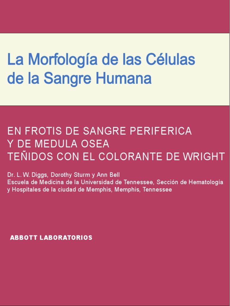 Morfología de Células Sanguineas | PDF