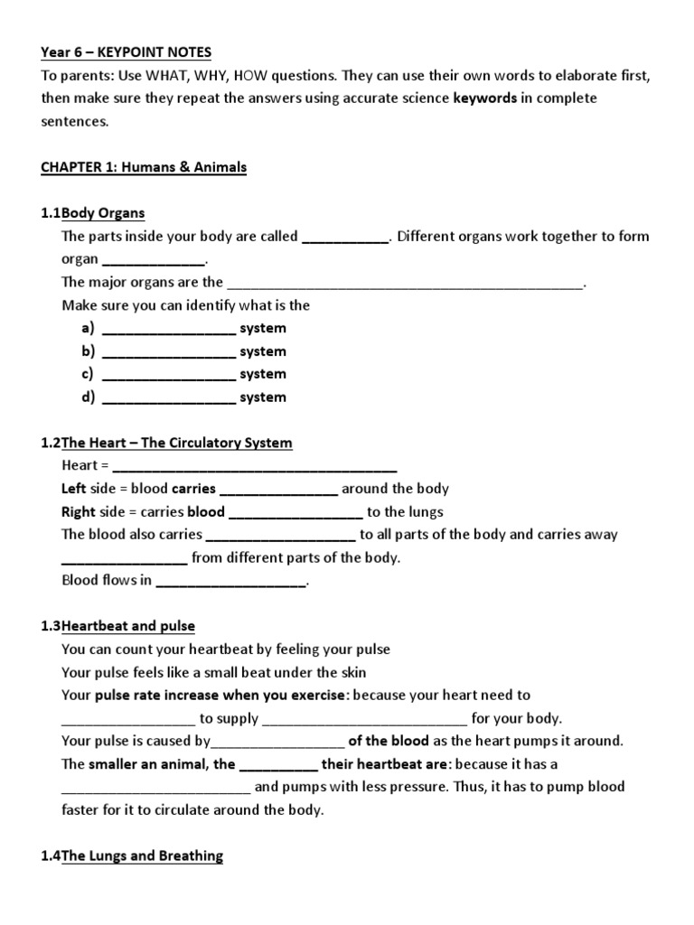 Year 6 - Science Keypoint Notes | PDF | Mass | Lung
