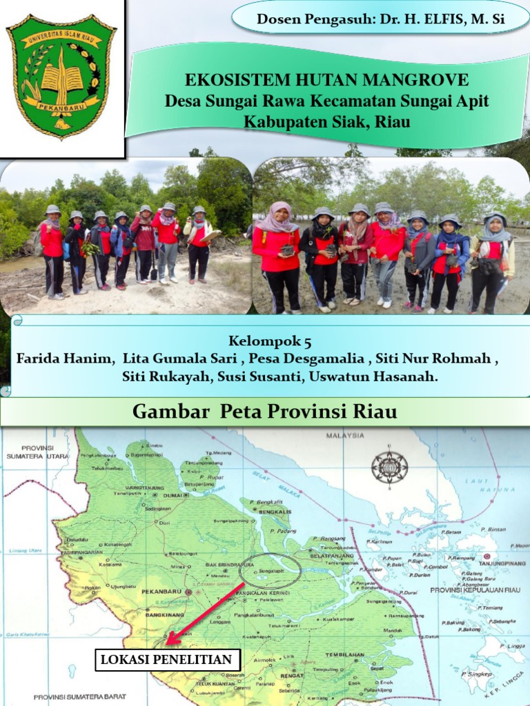 Ekosistem Hutan Mangrove Sungai Rawa (Ekologi Tumbuhan)