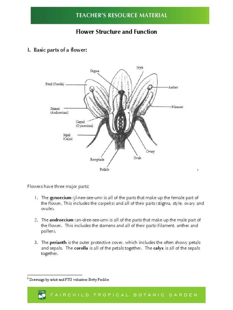 Flower Structure and Reproductive Functions | PDF | Flowers | Fruit