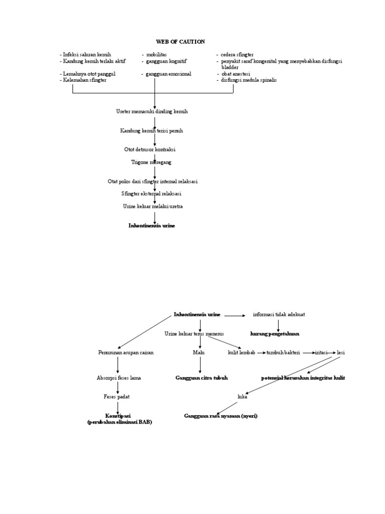 Woc Inkontinensia Urine | PDF