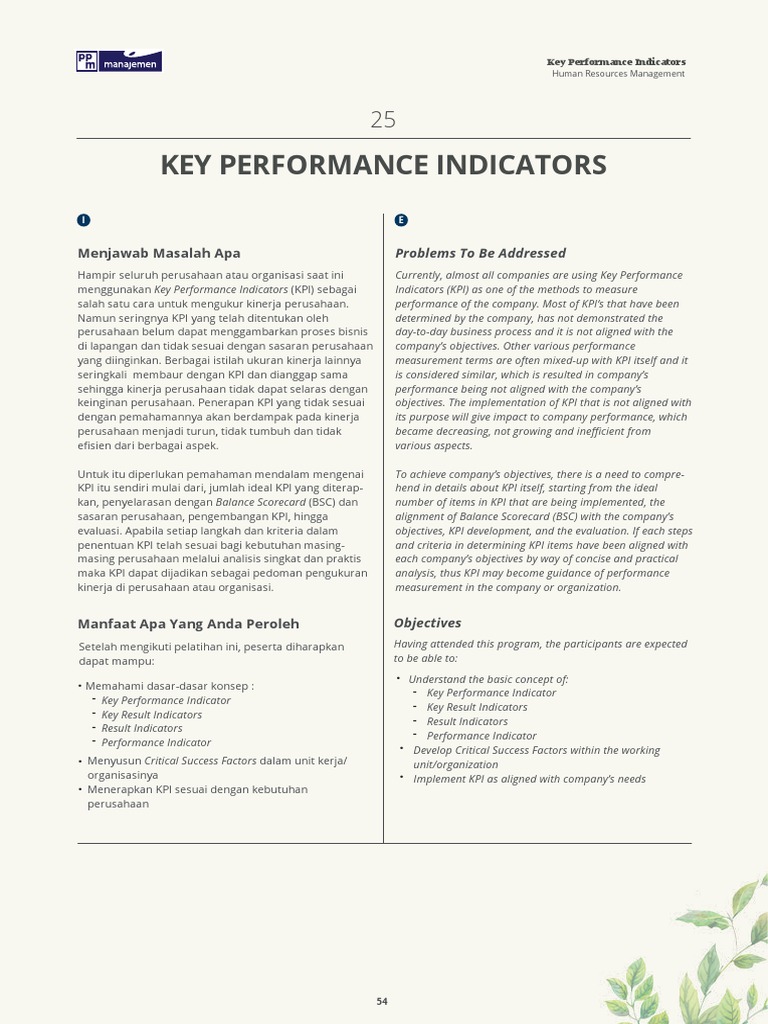 2.key Performance Indicators | PDF