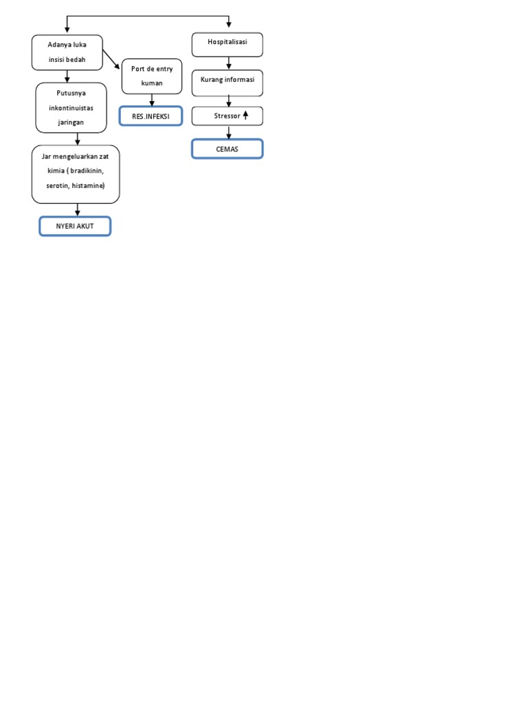 Pathway Nefrolitiasis/batu Ginjal | PDF