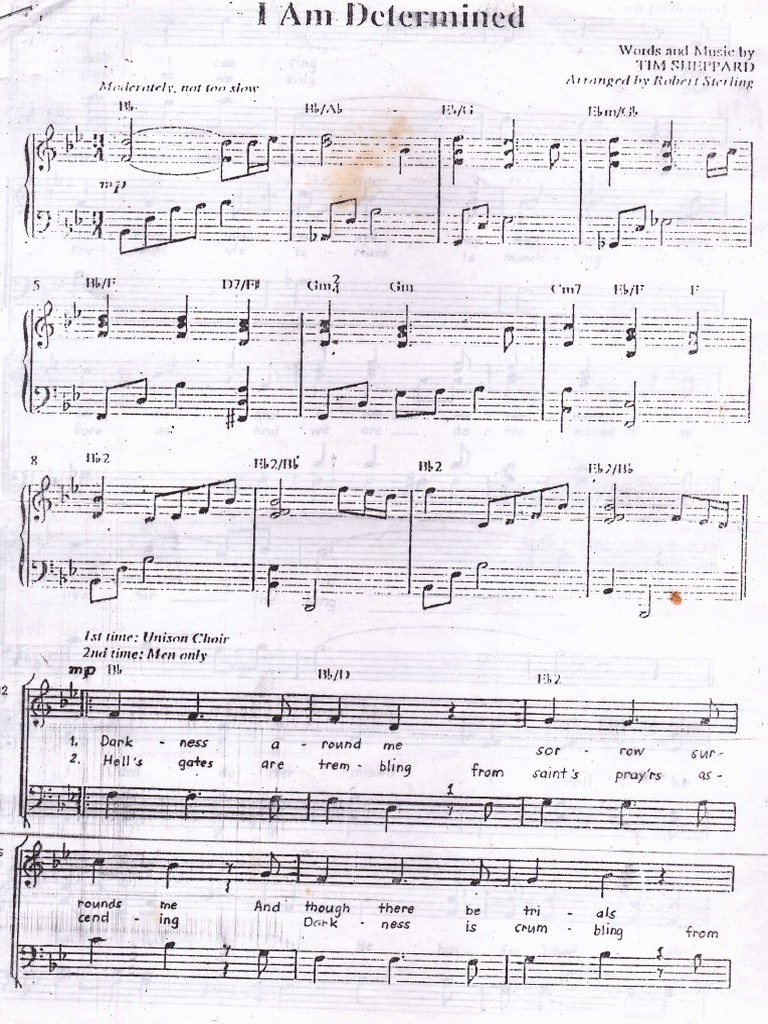 I Am Determined | PDF