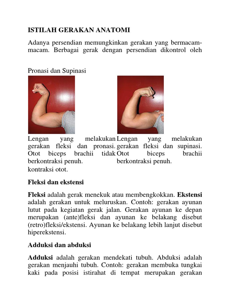 Gerakan Anatomi: Supinasi dan Pronasi | PDF | Seni & Disiplin Bahasa