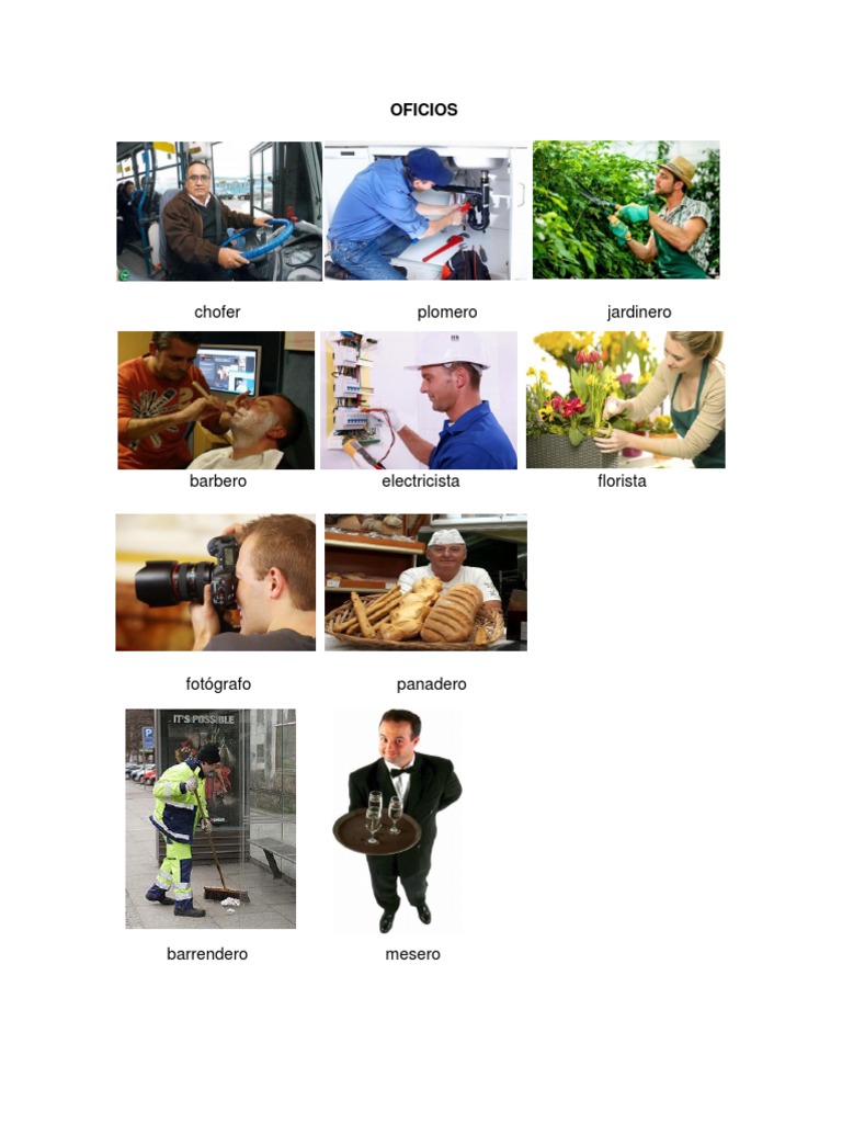 10 Profesiones y 10 Oficios | PDF