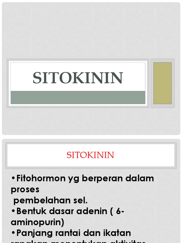 Sitokinin | PDF