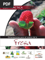 Manual para El Establecimiento de Una Huerta de Aguacate | PDF | Aguacate | Fertilizante