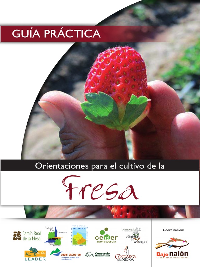 fresa.pdf