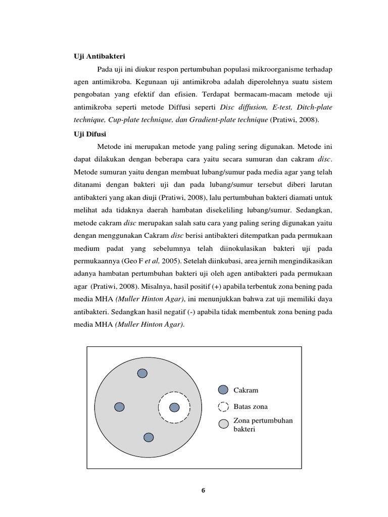 Metode Uji Antibakteri | PDF