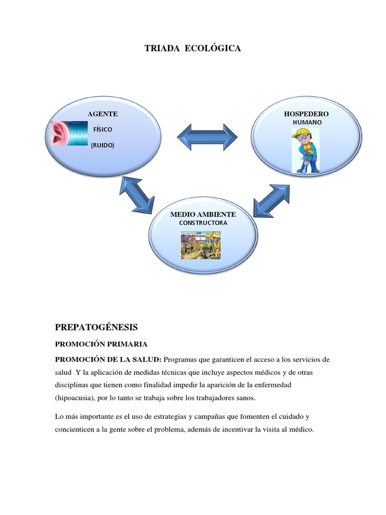 Elementos Que Conforman La Triada Ecologica - slingo