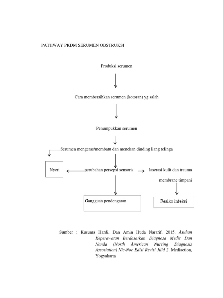 Pathway Serumen Obstruksi | PDF